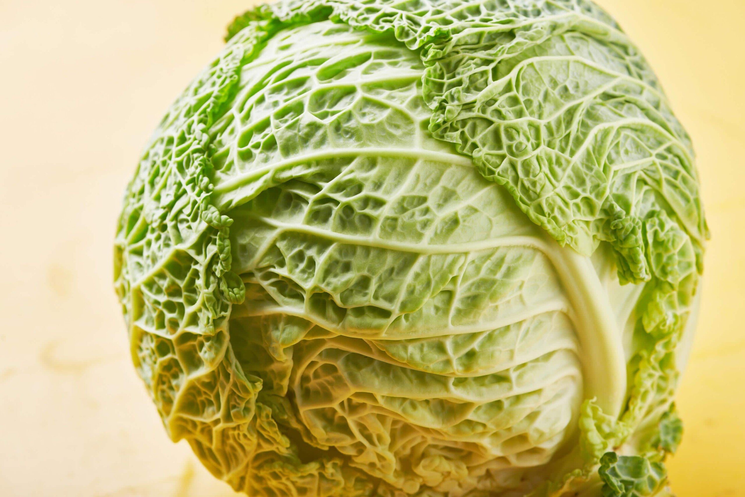 How to Cook Cabbage — The Mom 100